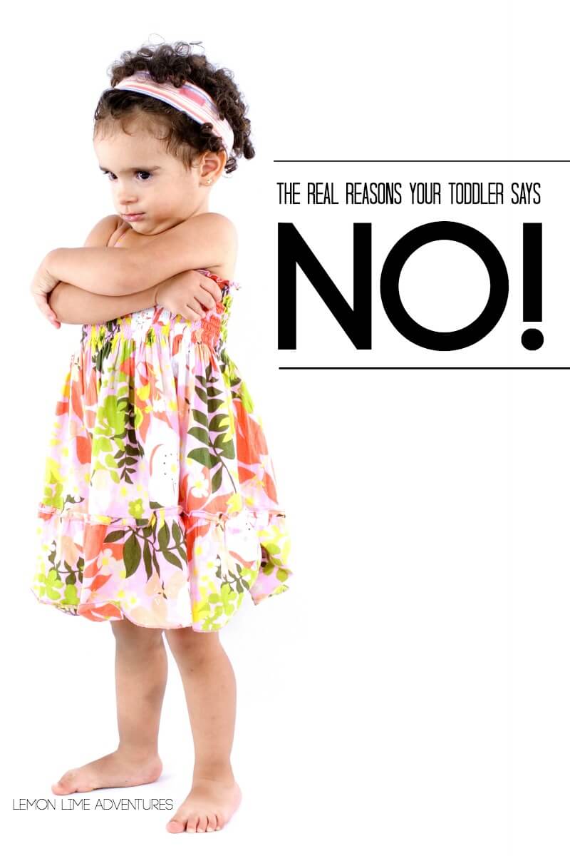 The Real Reason Your Toddler Says No To Everything