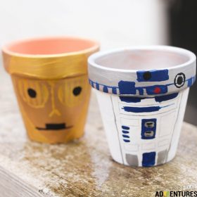 DIY Star Wars Garden Pots